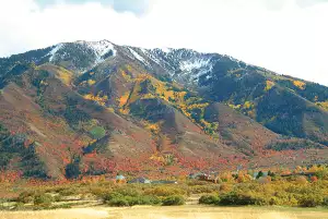 Woodland Hills | Intellipop | Fiber Internet Services